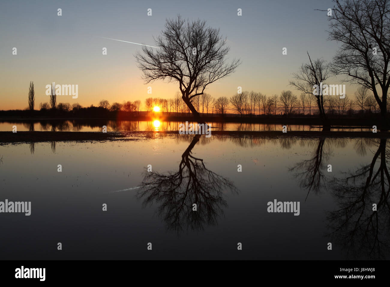 tree, sunset, mirroring, branch, flood, a row of trees, mirror, trunk ...