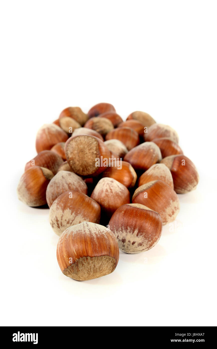 objects, brown, brownish, brunette, blank, european, caucasian, nuts ...