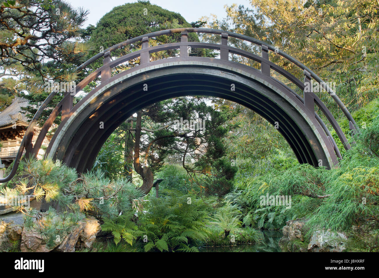 Plants trees under bridge architecture hi-res stock photography and ...