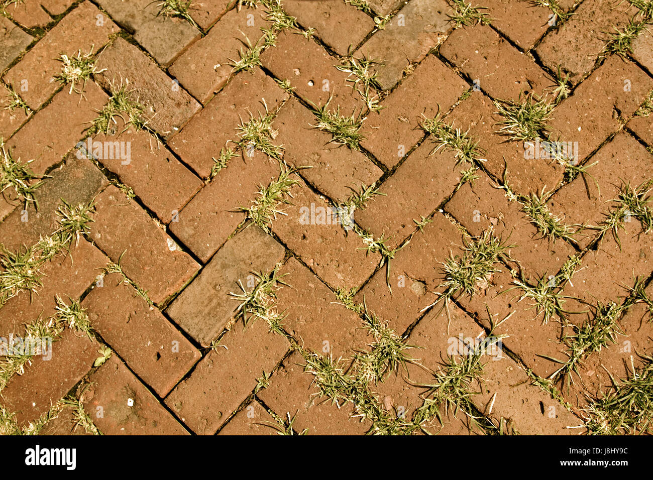 wall, brick, sidewalk, pattern, backdrop, background, texture, design ...
