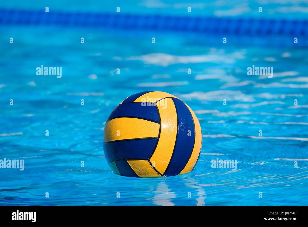 sport, sports, ball, pool, water polo, public baths, swimming pool ...