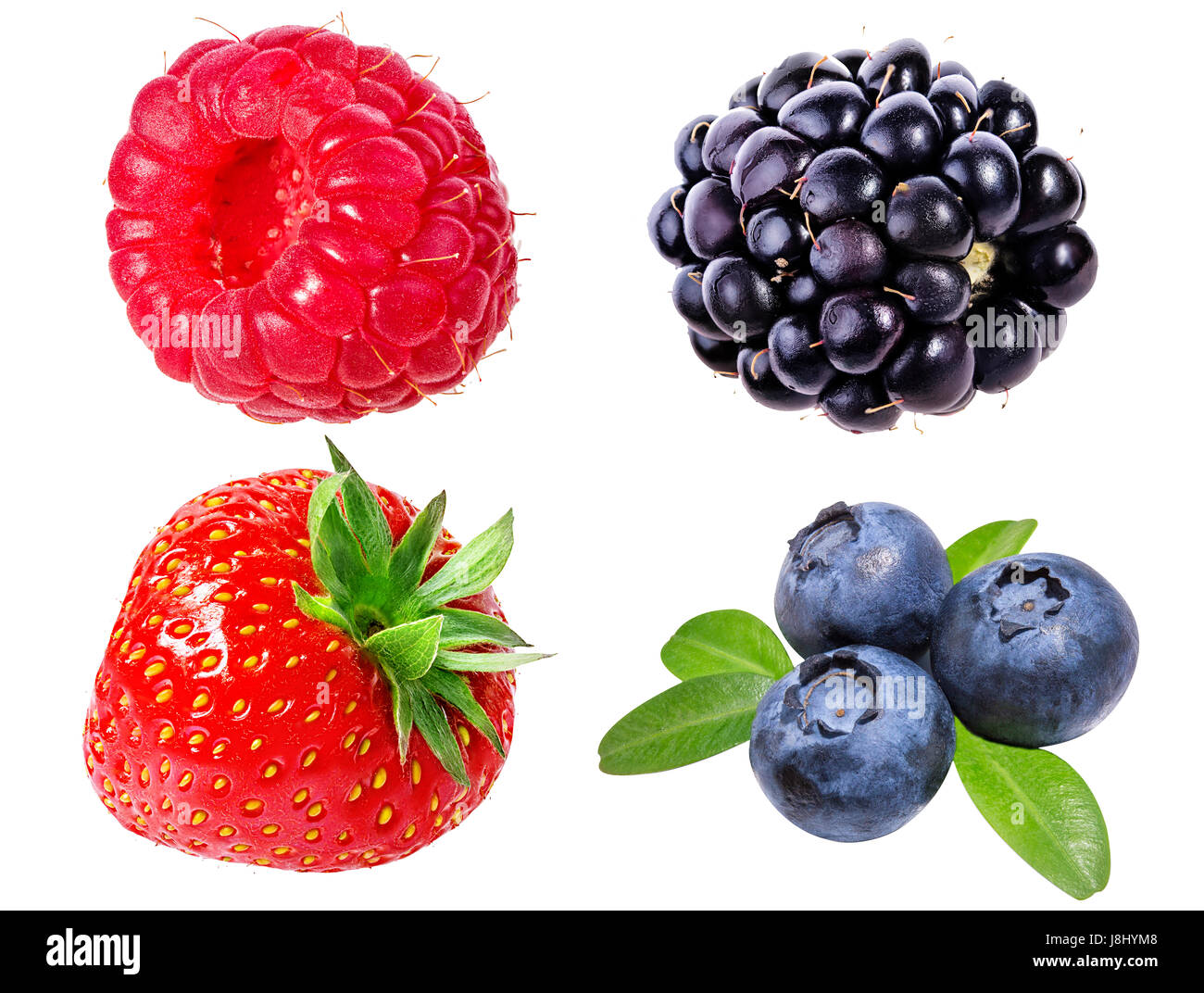 strawberry,raspberry,blueberries, blueberries, and blackberry isolated ...