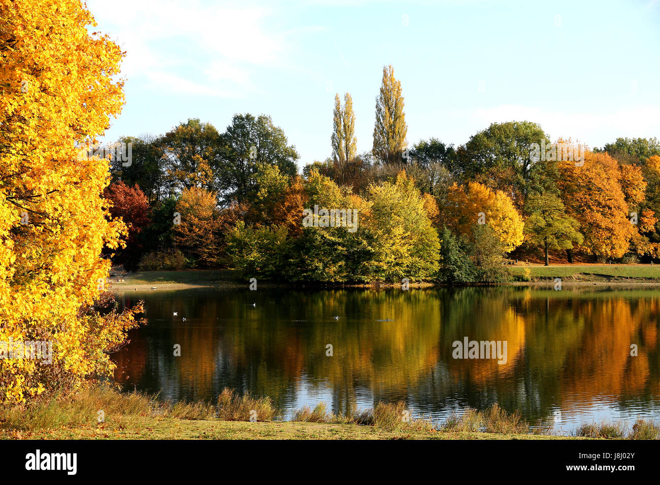 mood, mirroring, autumn colours, season, salt water, sea, ocean, water ...