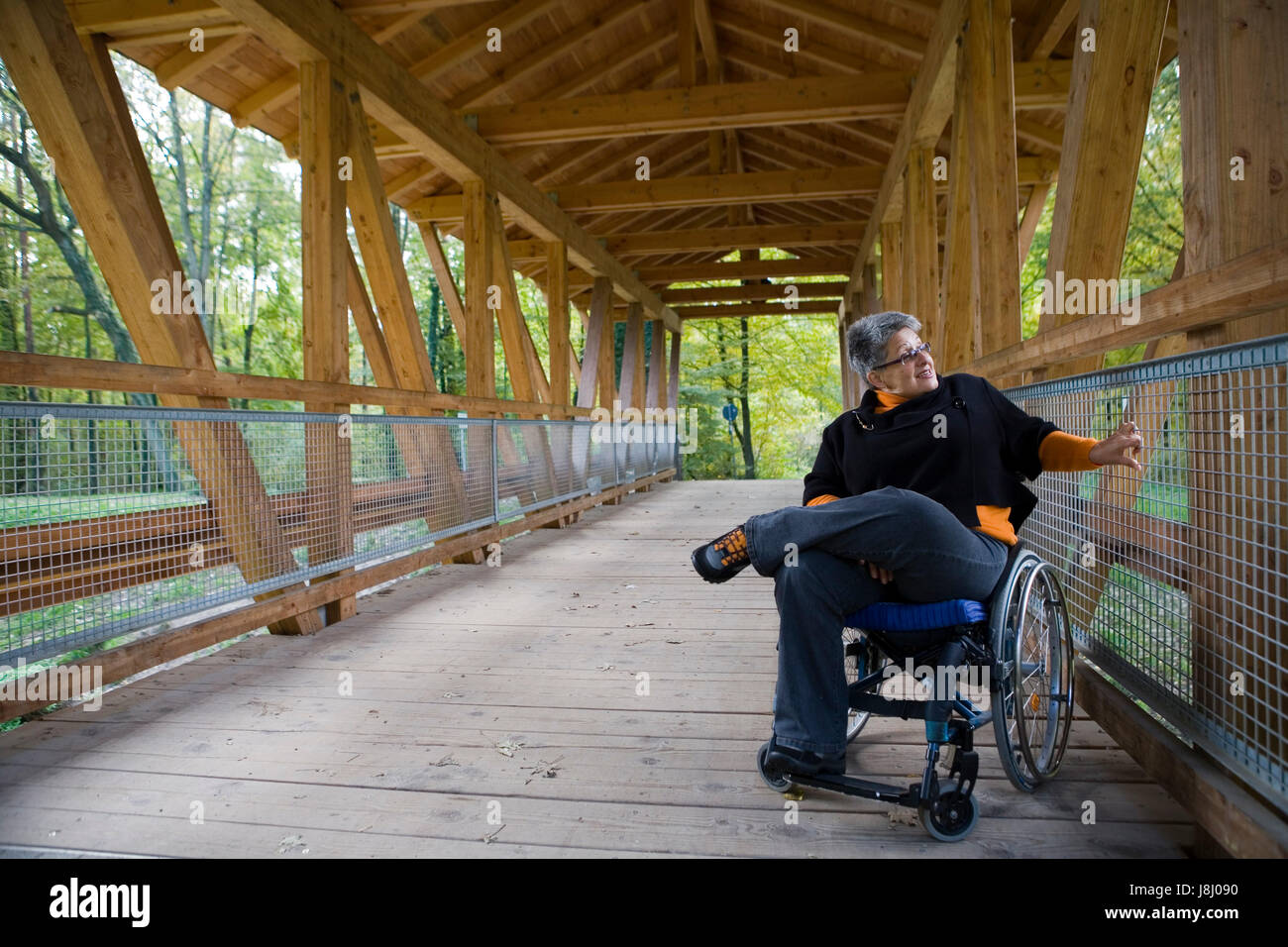 woman, wheelchair, handicapped, positive, photo, picture, image, copy ...