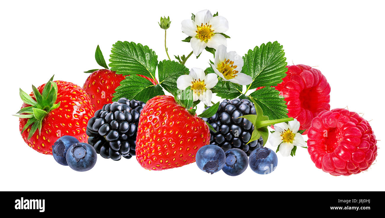 strawberry,raspberry,blackberry, bilberry, blueberries isolated on ...