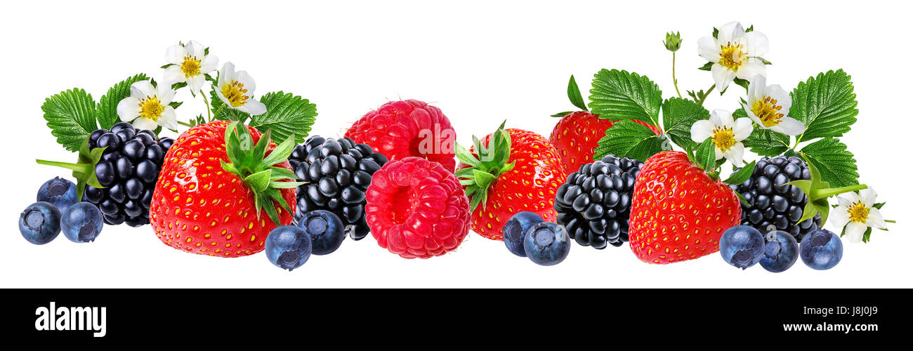 strawberry,raspberry,blackberry, bilberry, blueberries isolated on ...