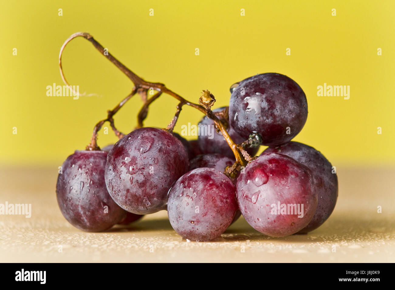 grapes, fruit, wet, vine, grape vine, grape-vine, bunches of grapes ...