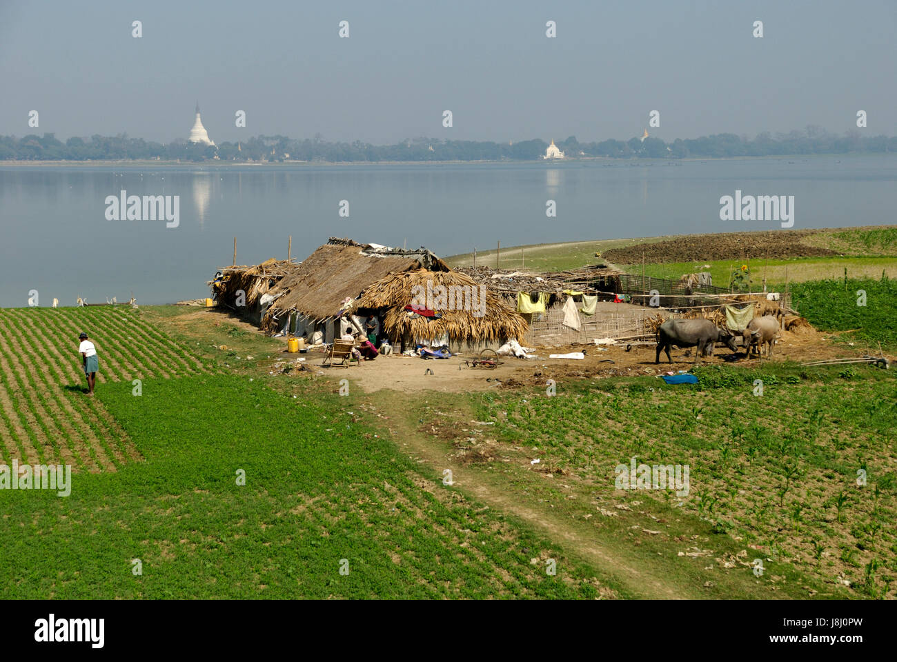 farm on lake taungthaman Stock Photo - Alamy