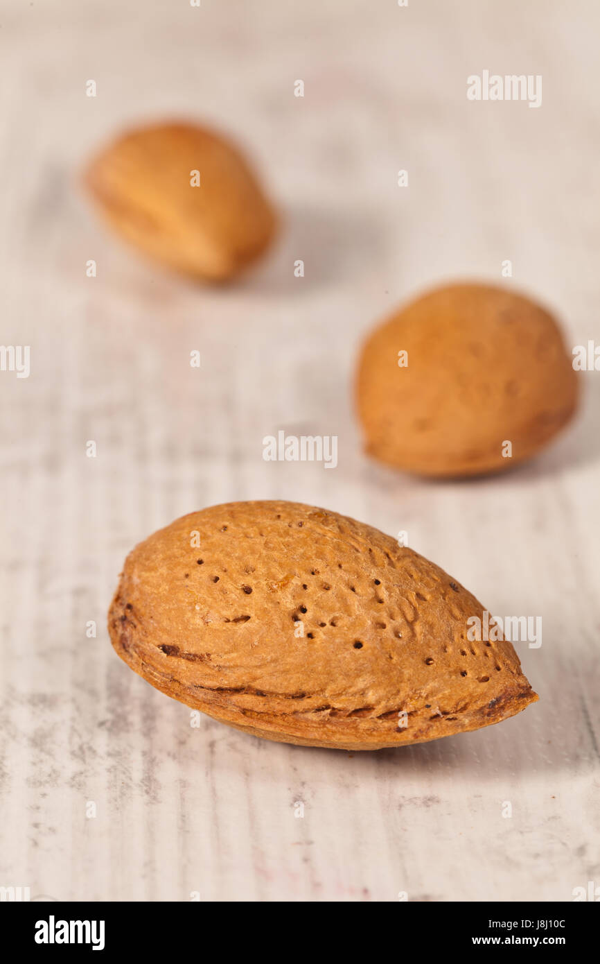 shell, nuts, almond, nutshell, protein, food, aliment, macro, close-up ...