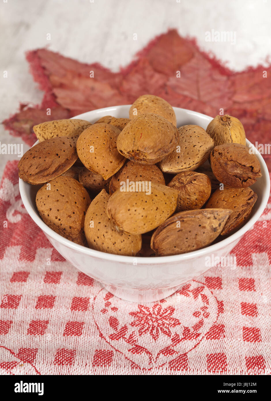 shell, nuts, almond, nutshell, eating, eat, eats, protein, food ...