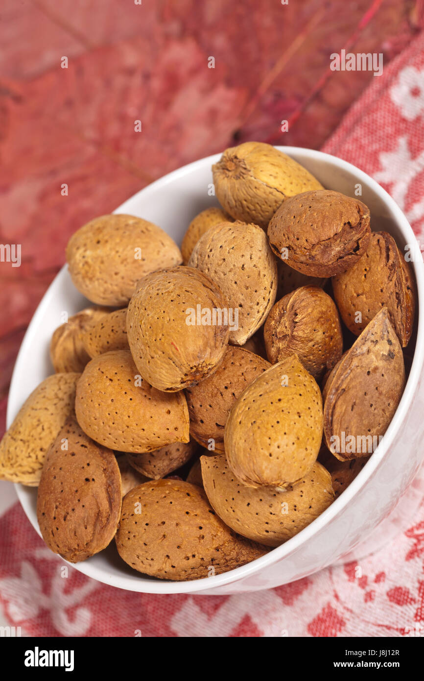shell, nuts, almond, nutshell, eating, eat, eats, protein, food ...
