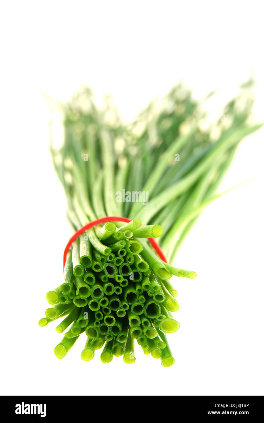 food, aliment, isolated, colour, feathers, vegetable, diet, onion ...