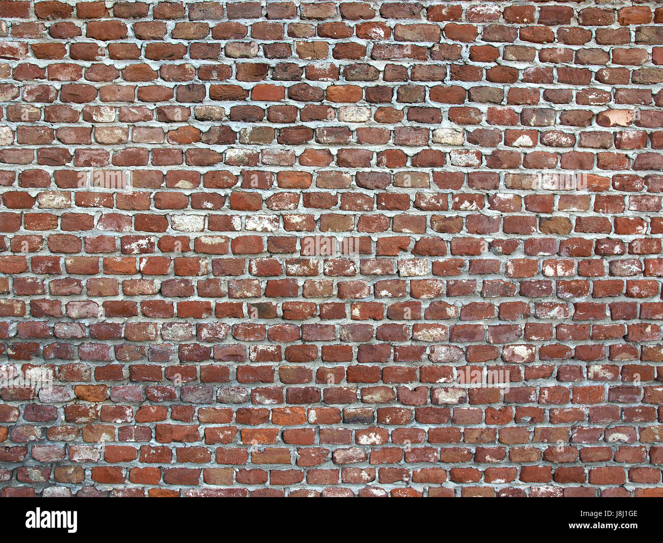 wall, brick, bound, tied, pattern, english, backdrop, background, red ...