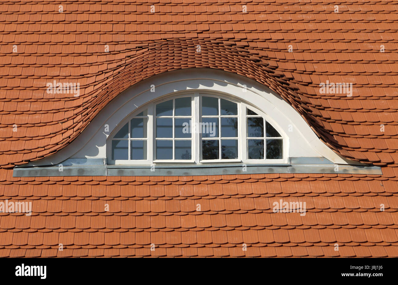 Sattelgaube hi-res stock photography and images - Alamy