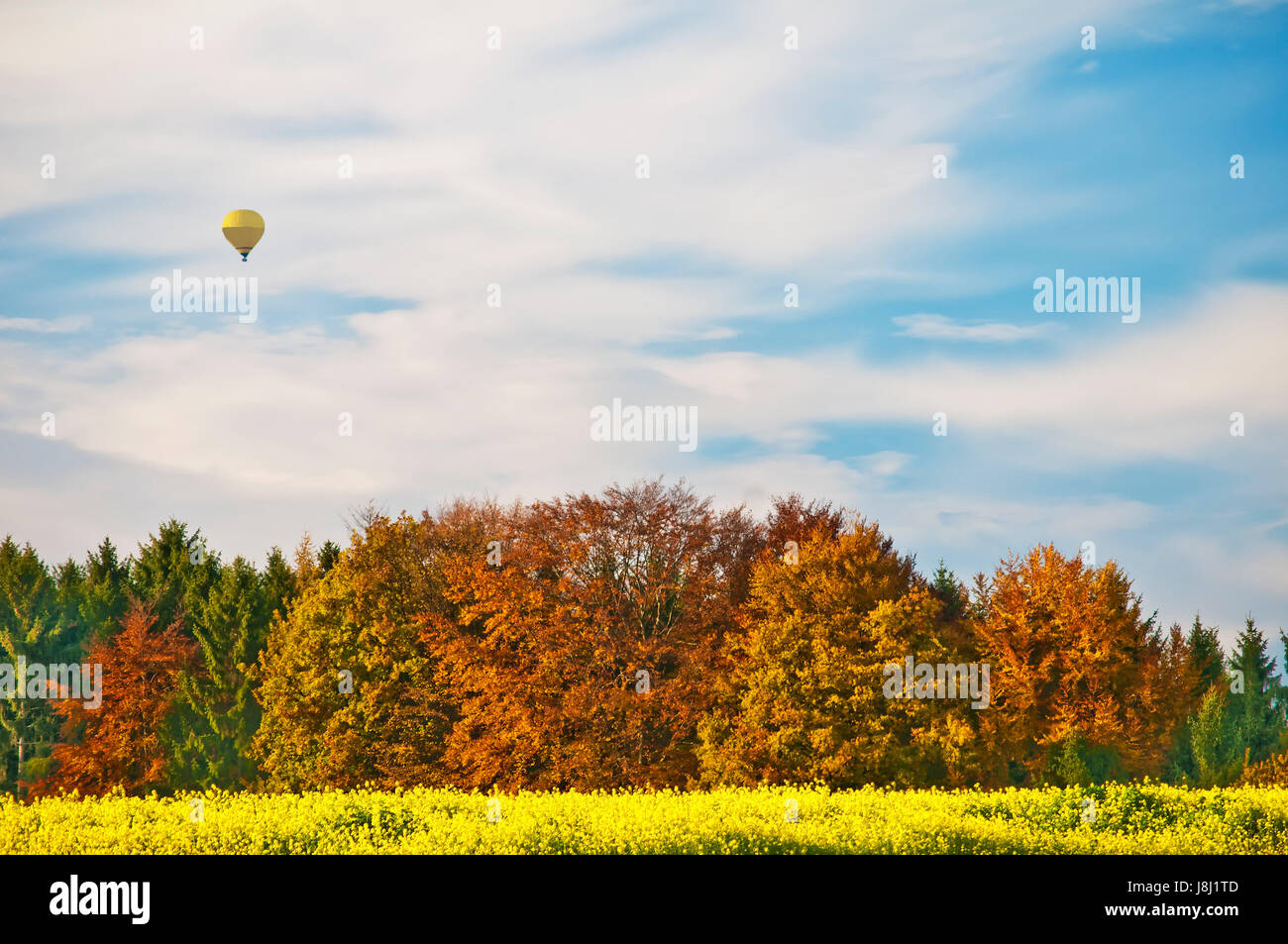 autumn forest with balloon Stock Photo - Alamy