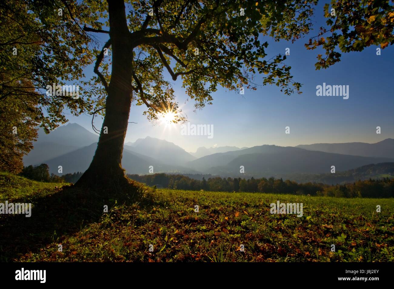 mountains, alps, radio silence, quietness, silence, rest, meadow, shine ...