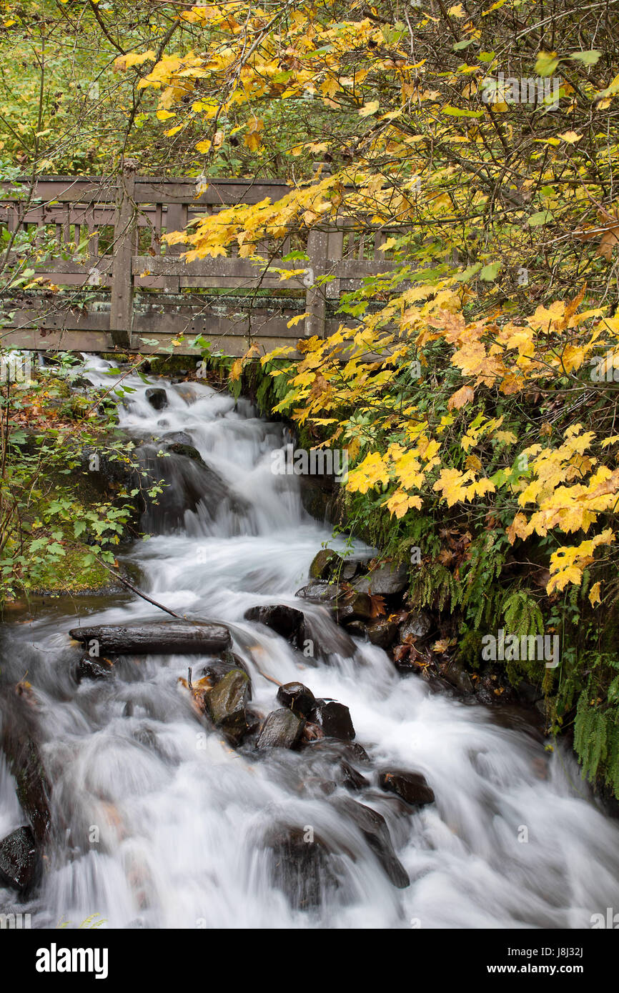 stream, waterfall, season, river, water, fall, autumn, tree, trees ...