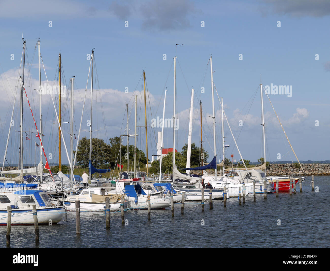 denmark, water, baltic sea, salt water, sea, ocean, sailing boats ...
