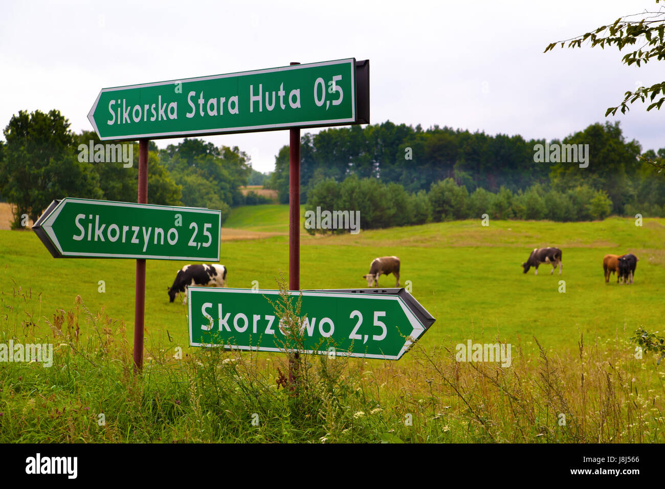 travel, direction, poland, hiking, sign, landscape, scenery ...