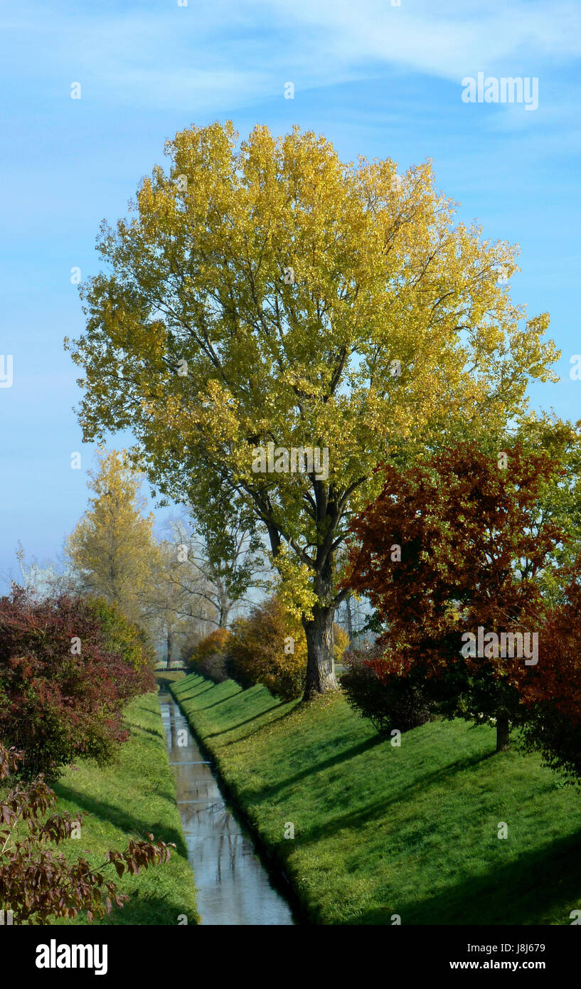 stream, fields, meadows, autumn foliage, watering, irrigation, fall ...