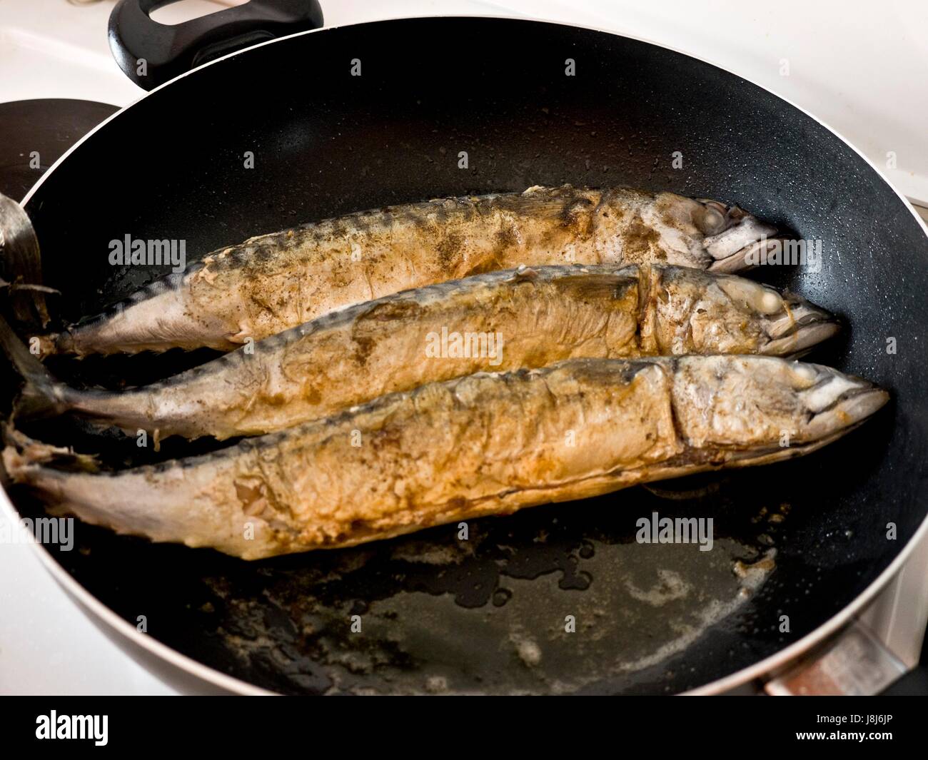 fish, trout, animal, fish, plate, trout, food, dish, meal, vertebrate ...