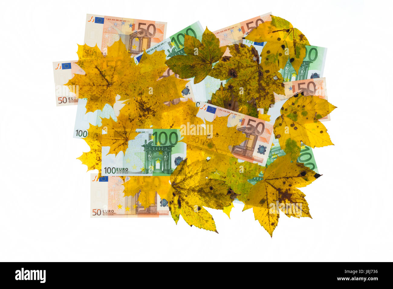 leaves, inflation, bank notes, windfall, money, foliage, fall, autumn ...