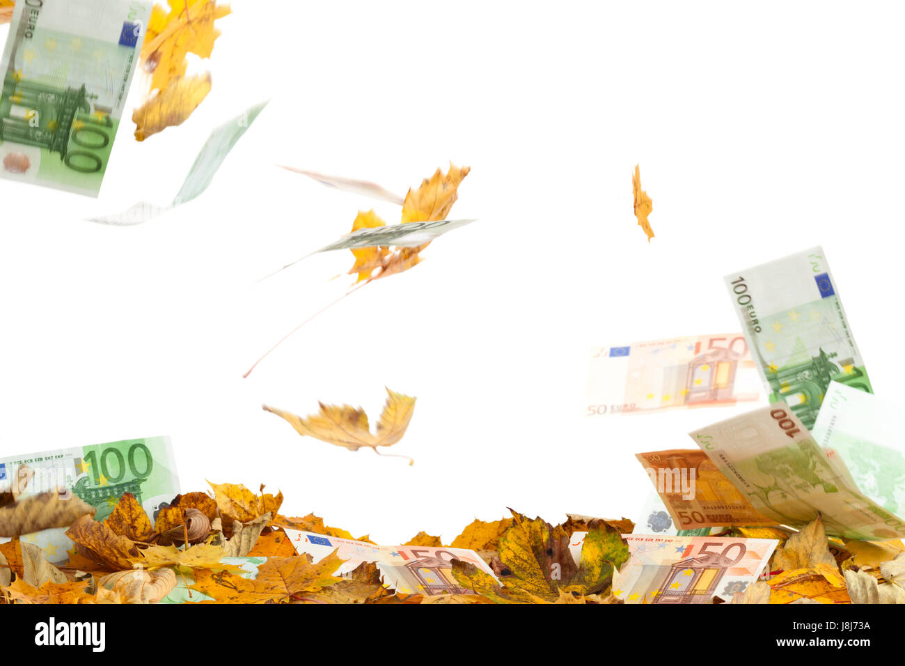 drop, bank notes, courses, tear down, money, leaves, foliage, fall ...