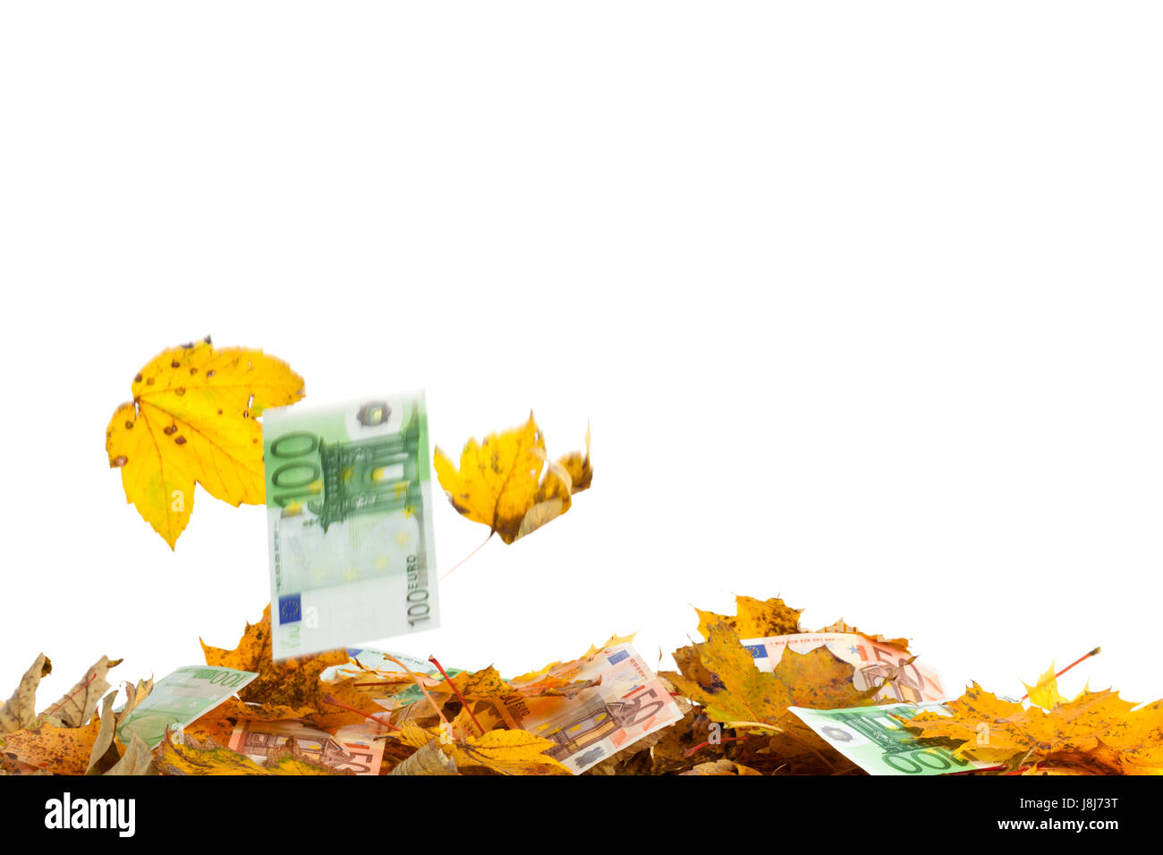 leaves, loss, drop, bank notes, treasury notes, bills, tear down ...