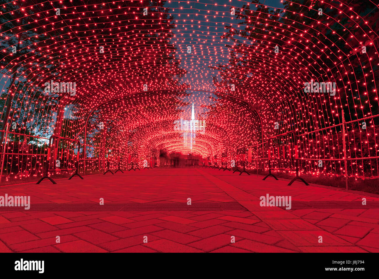 corridor, city, town, fashion, modern, modernity, night, nighttime, arc ...