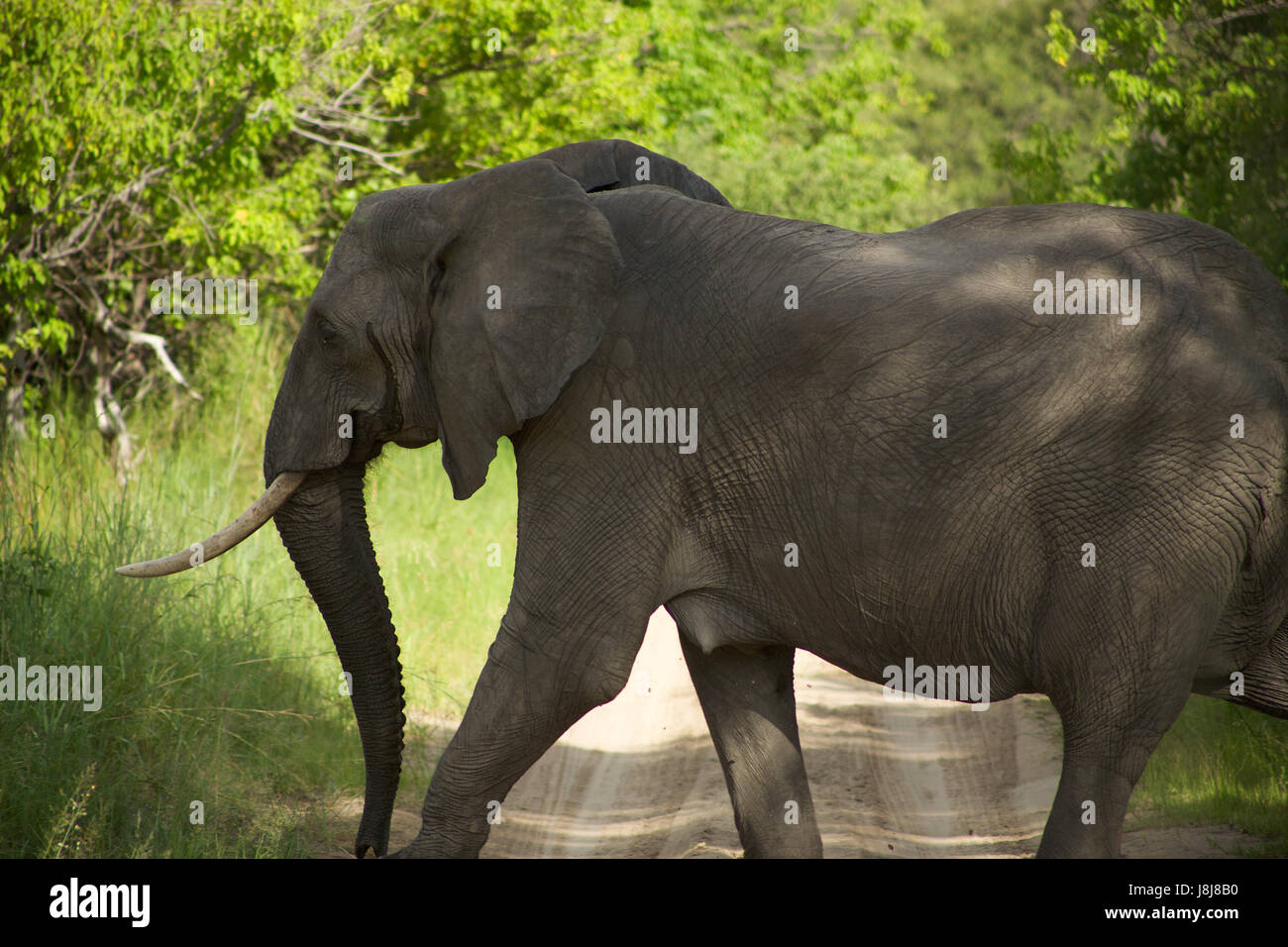 travel, big, large, enormous, extreme, powerful, imposing, immense ...