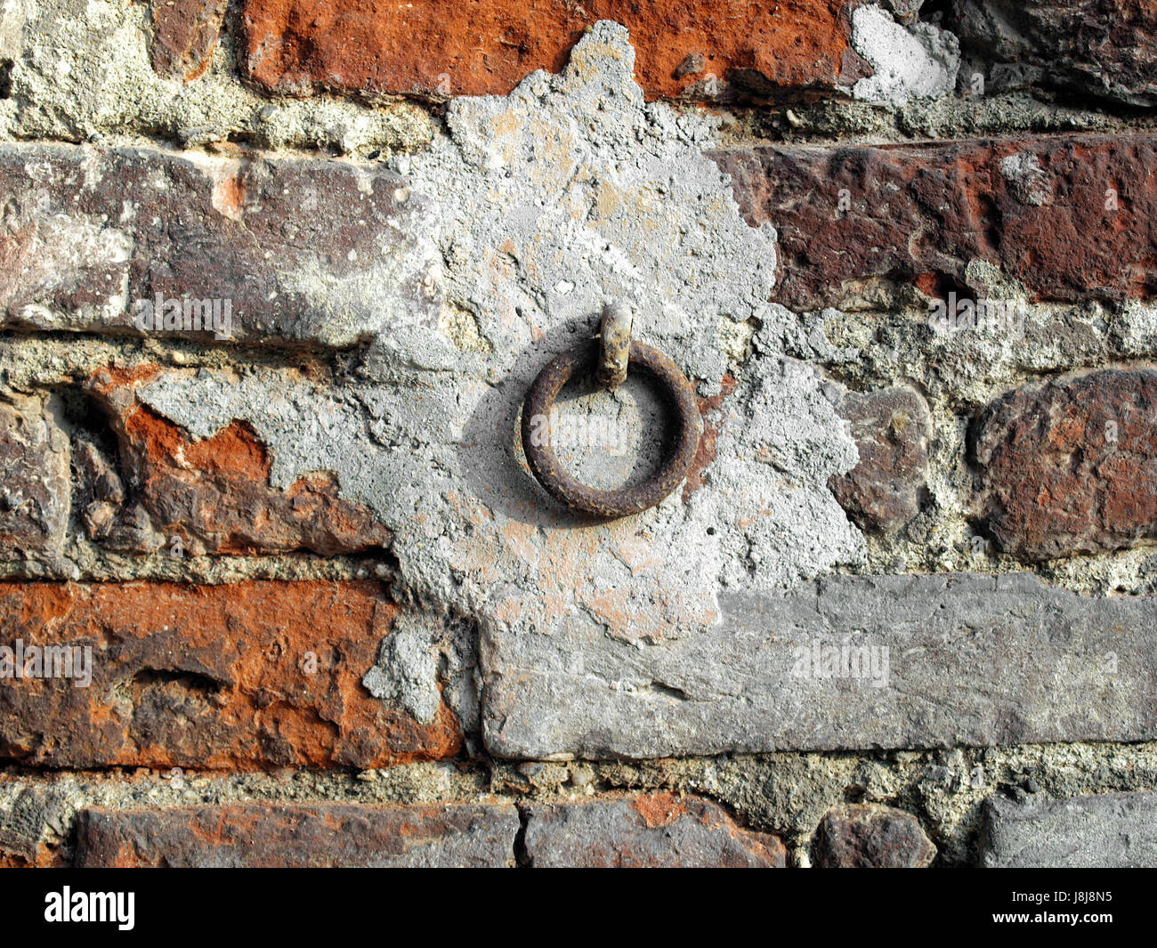 wall, brick, english, old, ancient, bond, flemish, red, vintage, wall ...