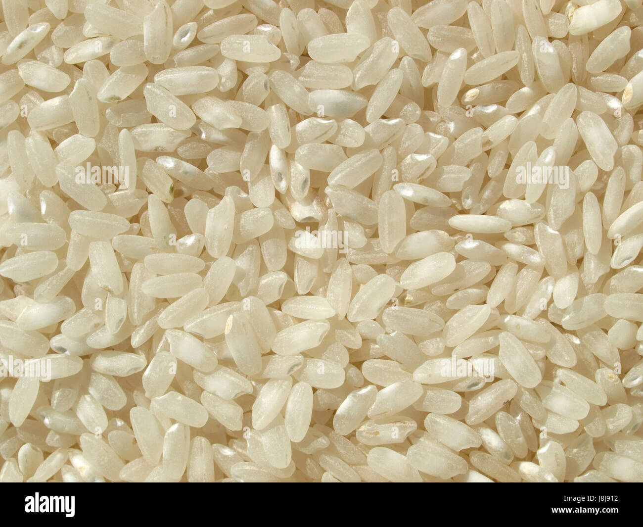 Food aliment india pastry pakistan hi-res stock photography and images ...