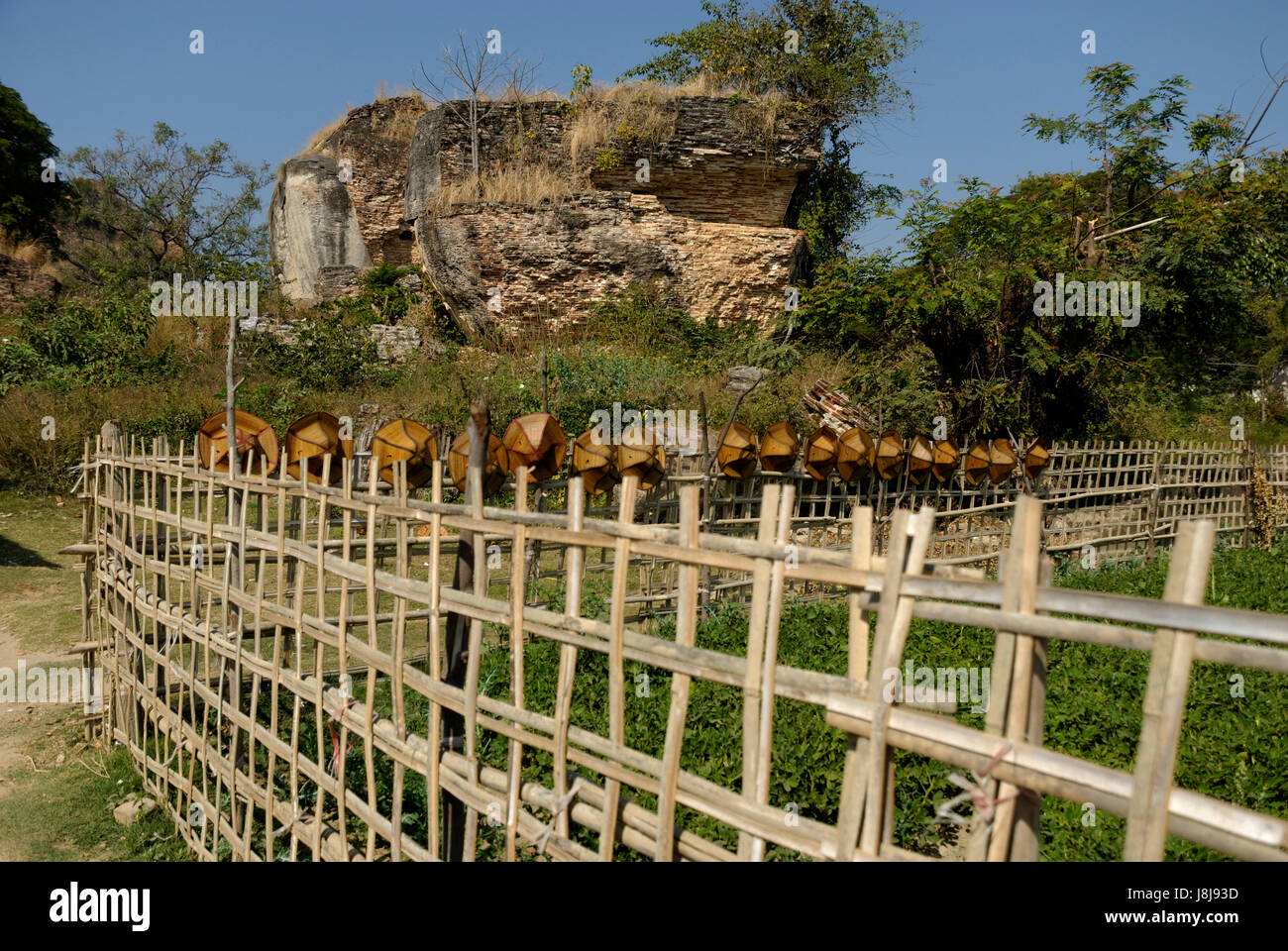 fence, fence in, fencing, myanmar, netting, burma, basket-work ...
