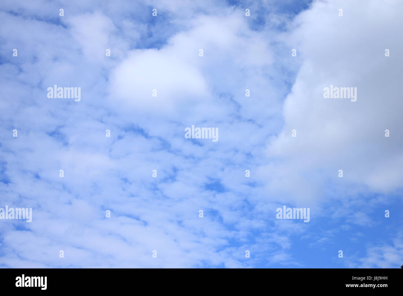 Cloud on blue sky in the daytime of Bright weather for design nature ...