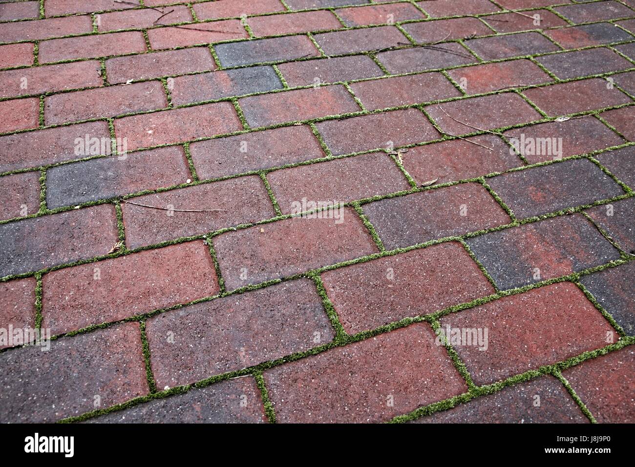 city, town, cover, blocks, bricks, backdrop, background, facing, floor ...