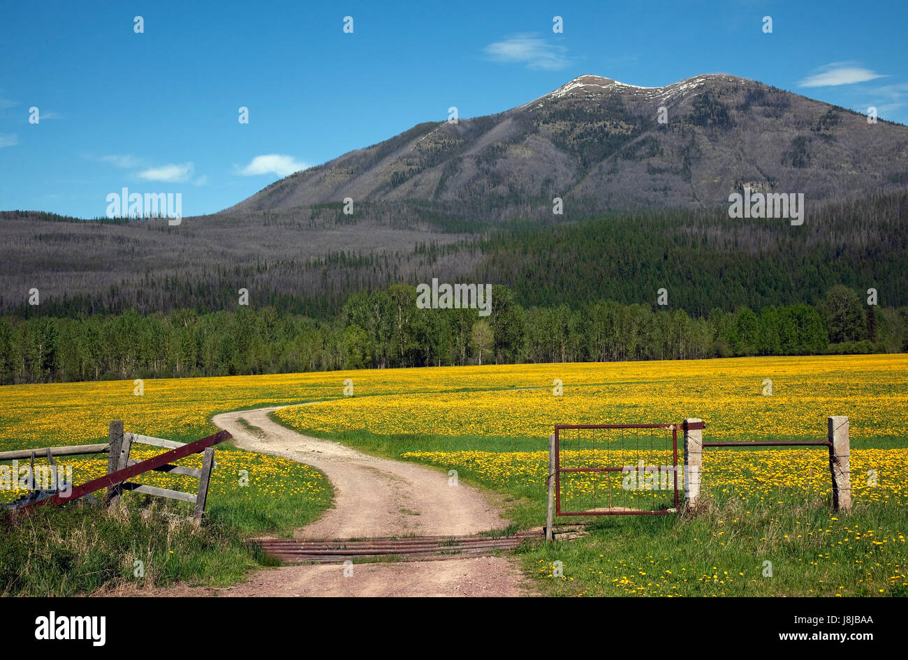 beautiful, beauteously, nice, field, summer, summerly, tip, peak ...