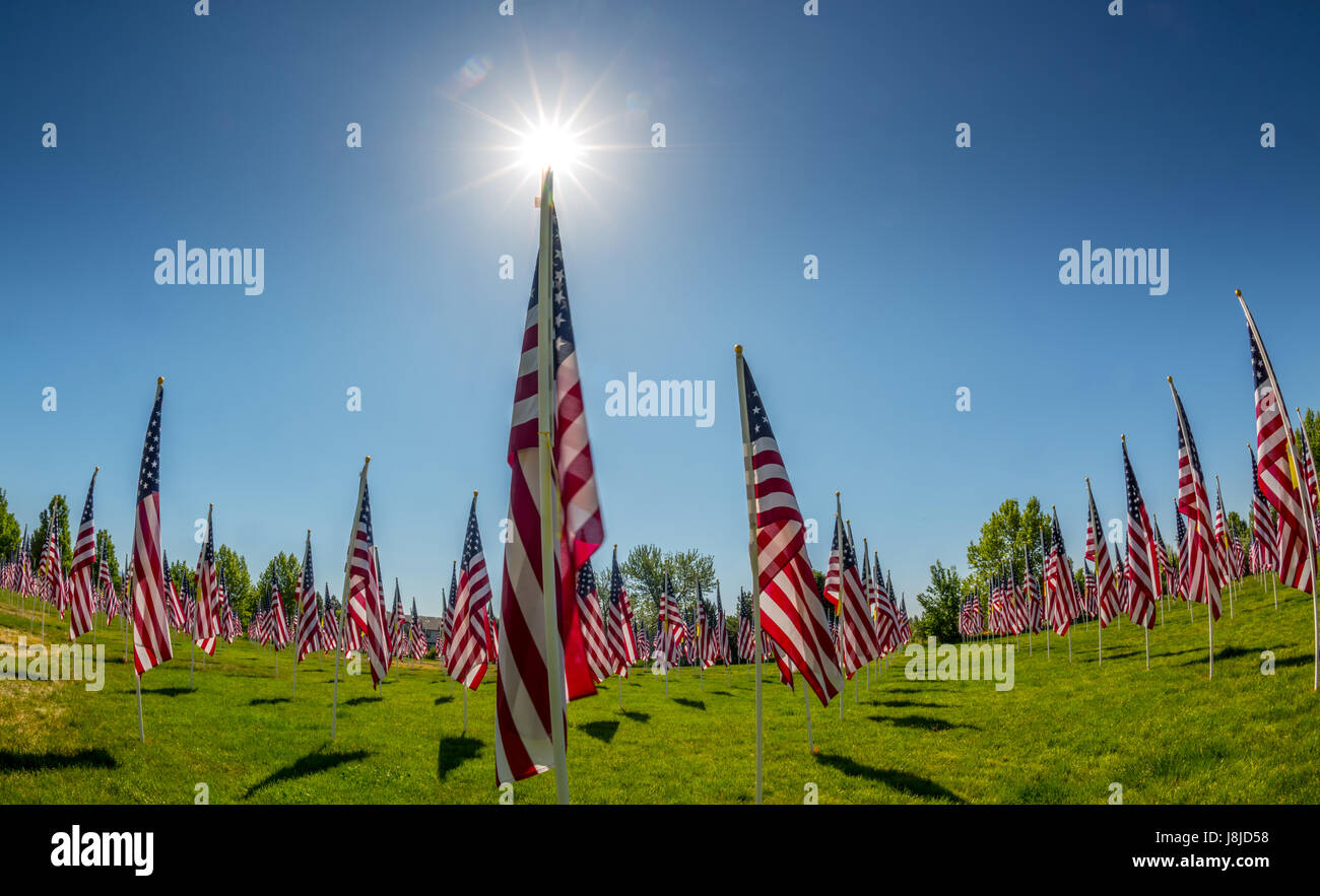 Flags wave in the wind on display for celedration Stock Photo - Alamy