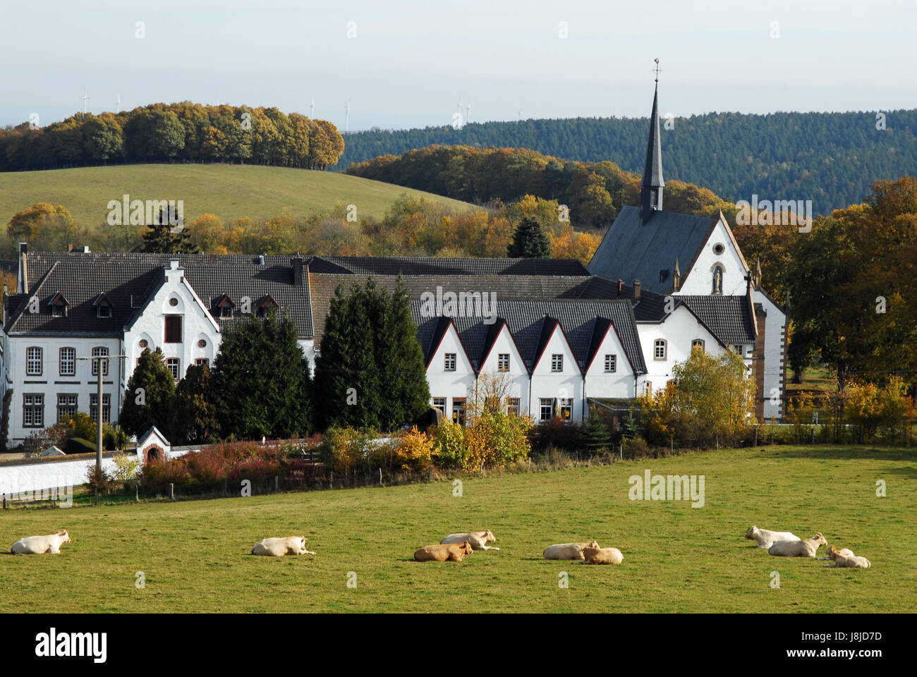 church, monastery, convent, forest, church, tree, trees, park, garden ...