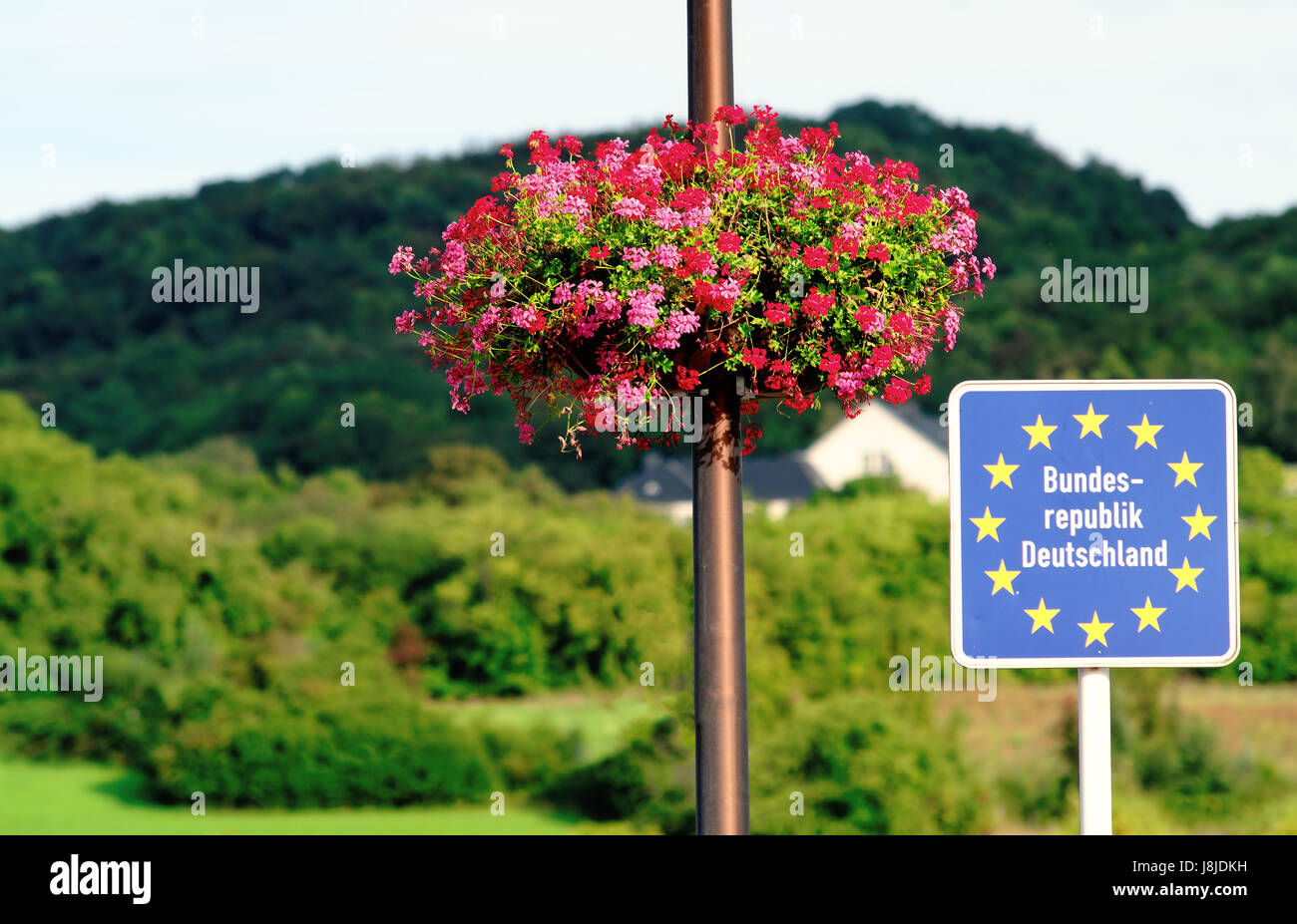 flower, plant, europe, germany, german federal republic, border ...