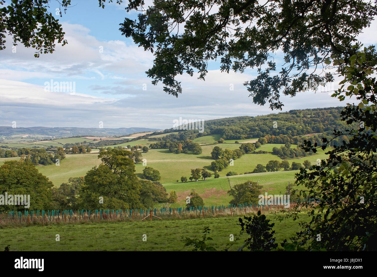 fields, rural, scenery, countryside, nature, peasant, tree, trees ...