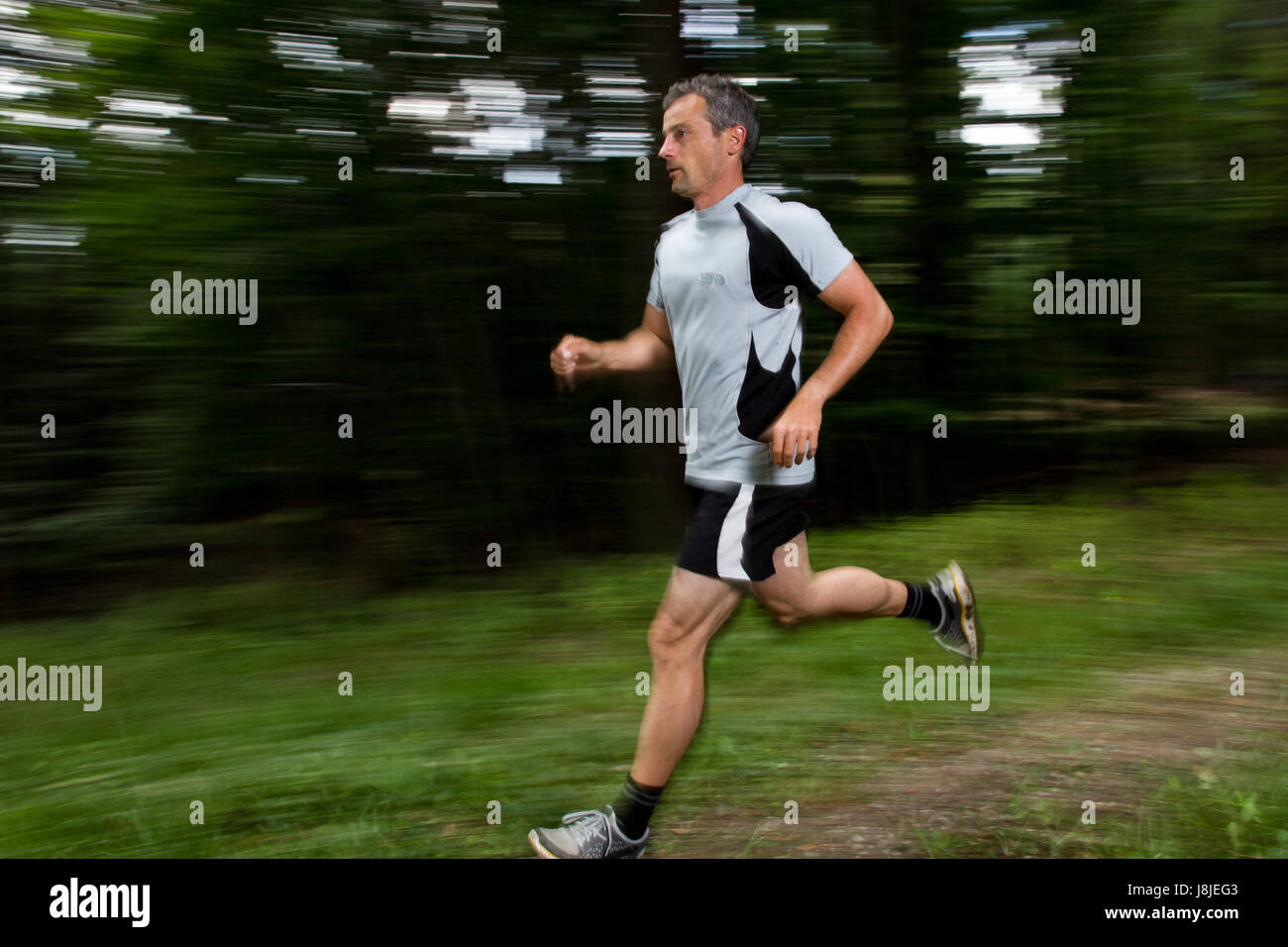 sport, jog, rotor, sports, run, running, runs, runners, forest, fitness ...