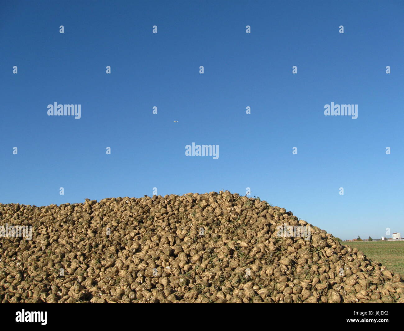 Saccharose fermentation hi-res stock photography and images - Alamy