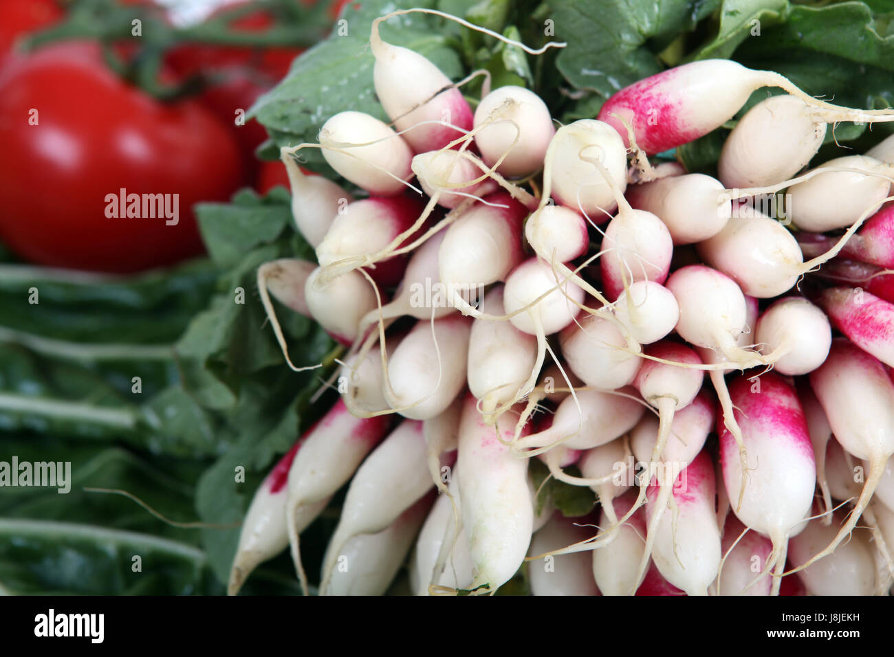 food, aliment, agriculture, farming, diet, farm, farmer, assorted, beet ...