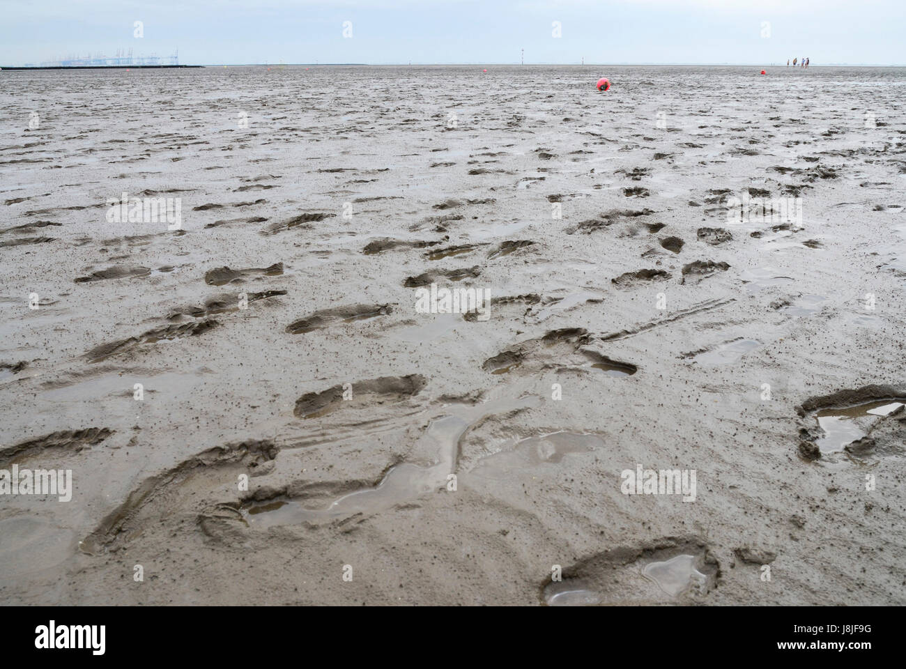 horizon, beach, seaside, the beach, seashore, coast, mud, calm, salt ...