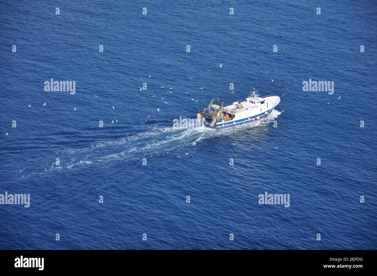 bird, birds, fishing boat, fishing ship, rowing boat, sailing boat ...