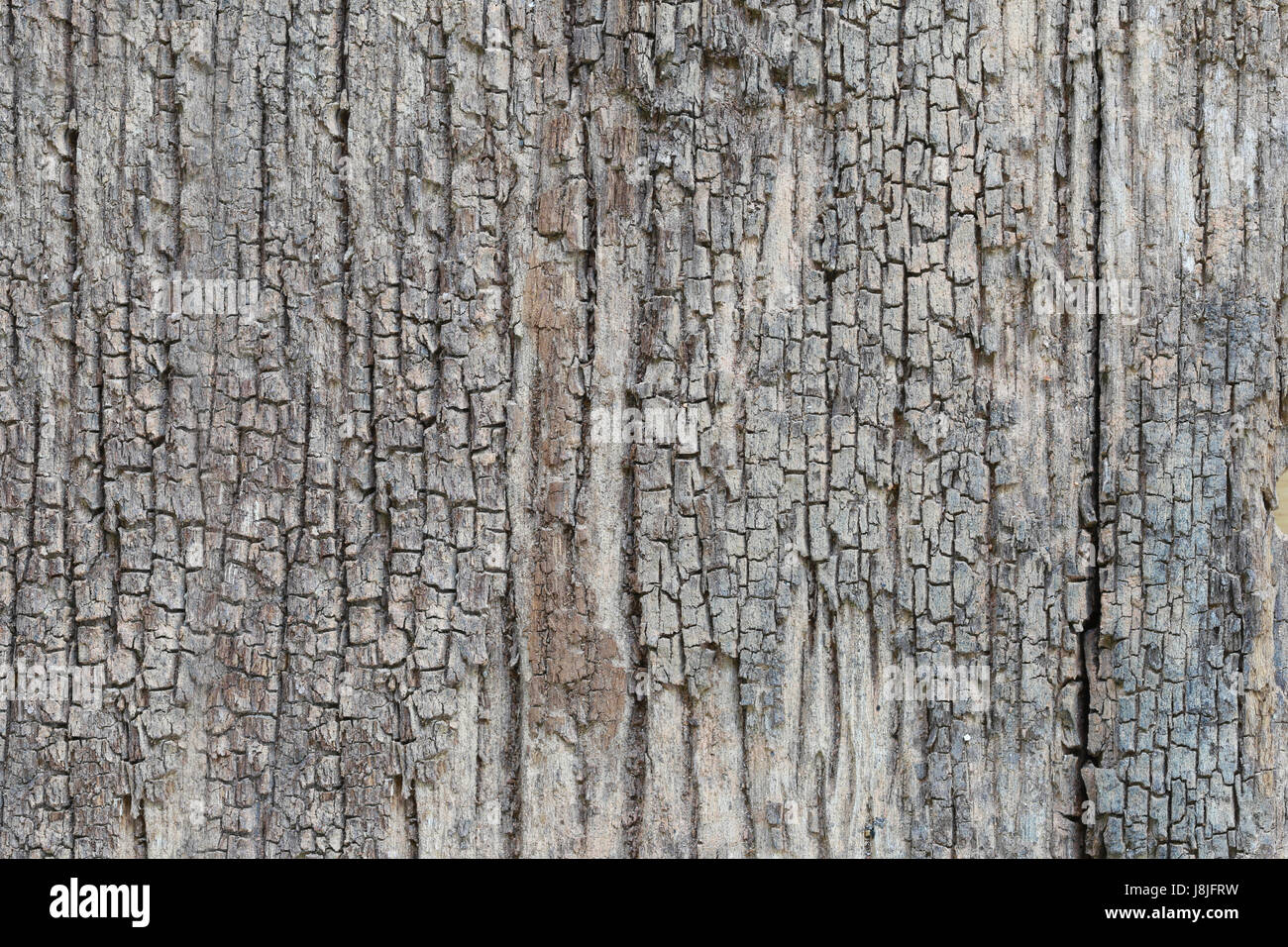 Old wood texture for the design background Stock Photo - Alamy