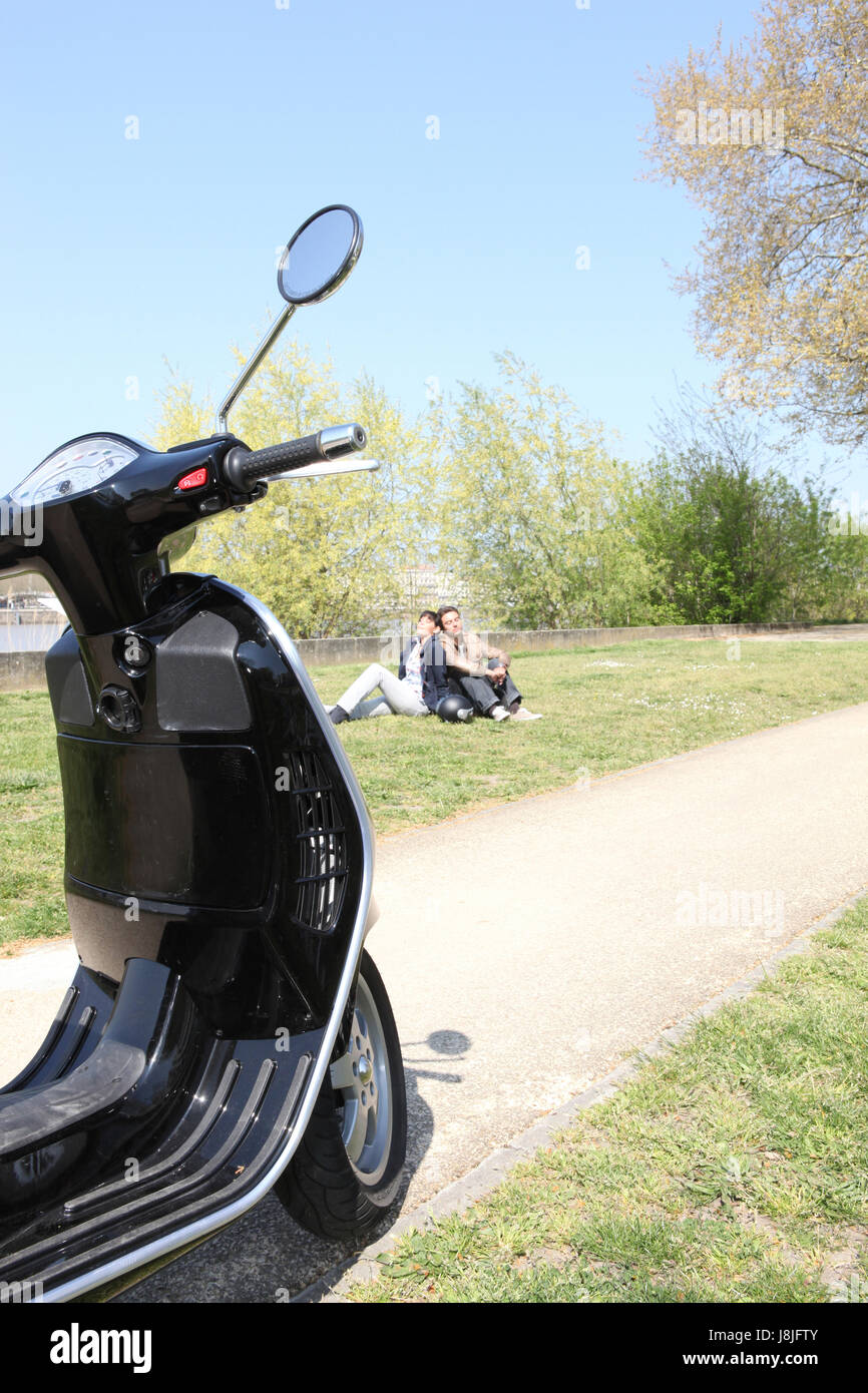 dashboard, tree, trees, park, garden, wheel, traffic, transportation ...