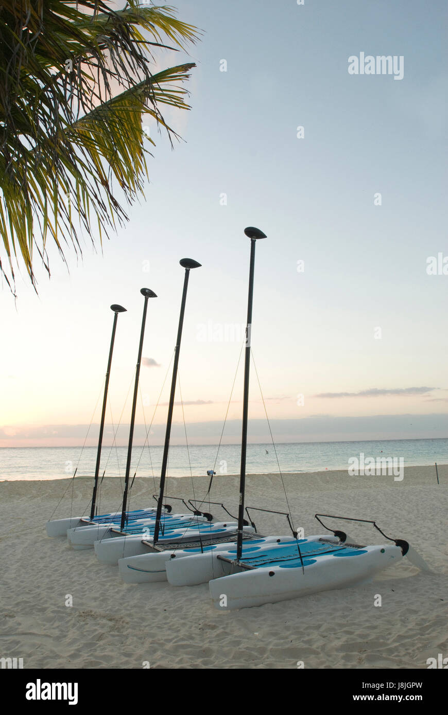 beach, seaside, the beach, seashore, palms, ruins, sailing boat ...