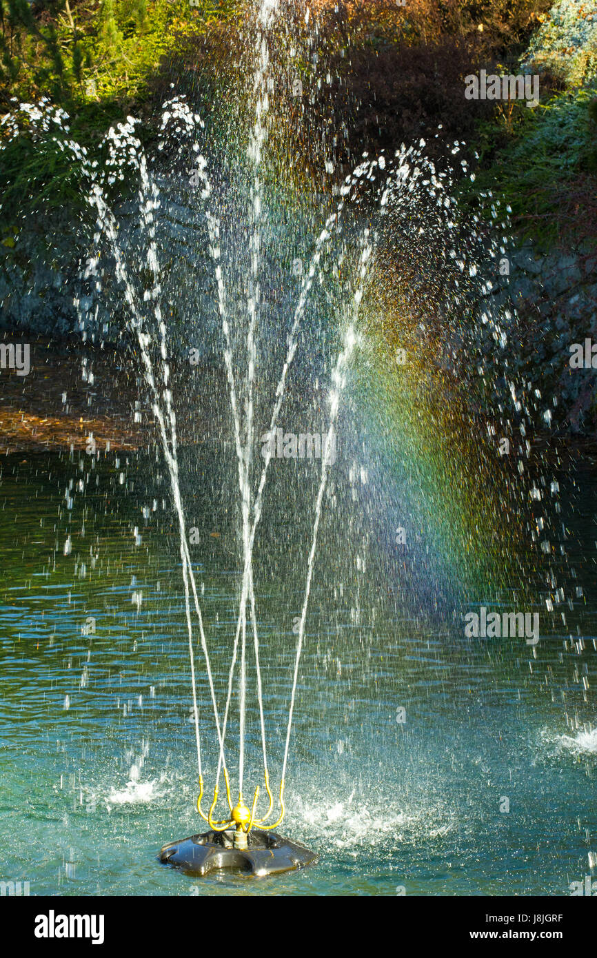 wet, rainbow, colour, colors, colours, water, nature, wet, rainbow ...