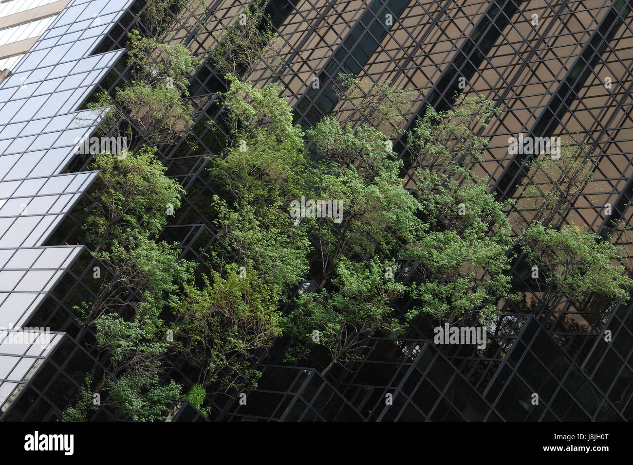 Trump tower trees manhattan hi-res stock photography and images - Alamy